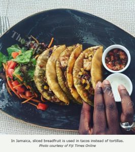 FIJI: Breadfruit delicacies – TFNet – International Tropical Fruits Network