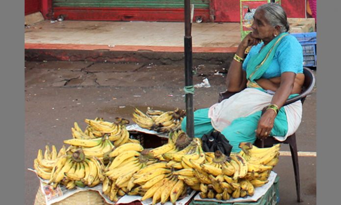 INDIA: Moira bananas, Harmal chillies get GI tag – TFNet ...