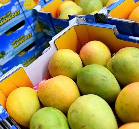 TFNet – International Tropical Fruits Network – Linking People ...