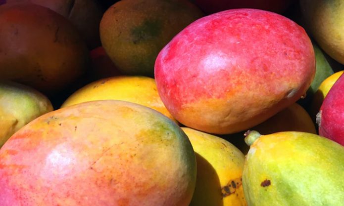 MEXICO: Mango exports grow by 4.5% in value – TFNet – International ...