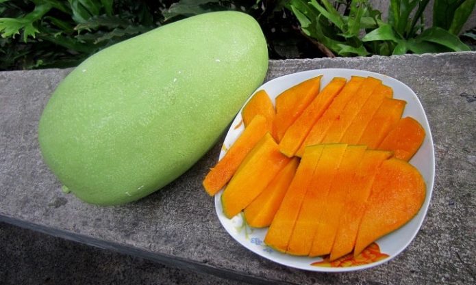 PHILIPPINES: 9 new varieties that will strengthen the mango industry ...