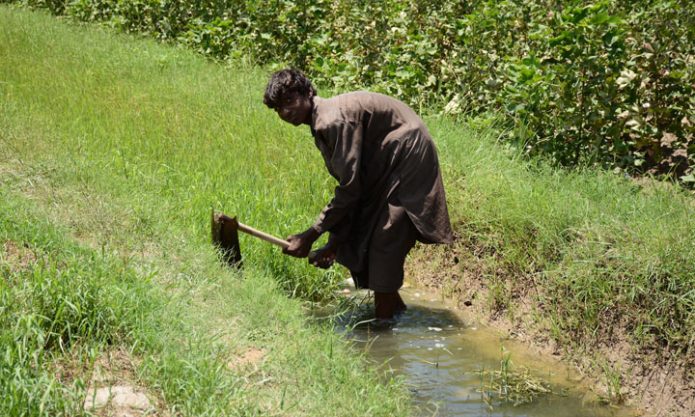 PAKISTAN: Floods after drought devastate Sindh’s agriculture, lowering ...
