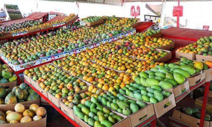 SAUDI ARABIA: Production of mangoes exceeds 88.6k tons annually to ...